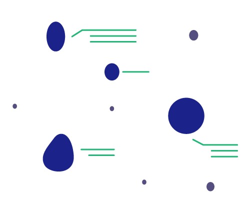 BodyMapper - Pixience