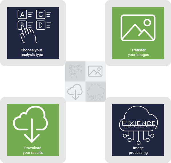 Pixience Cloud - Pixience