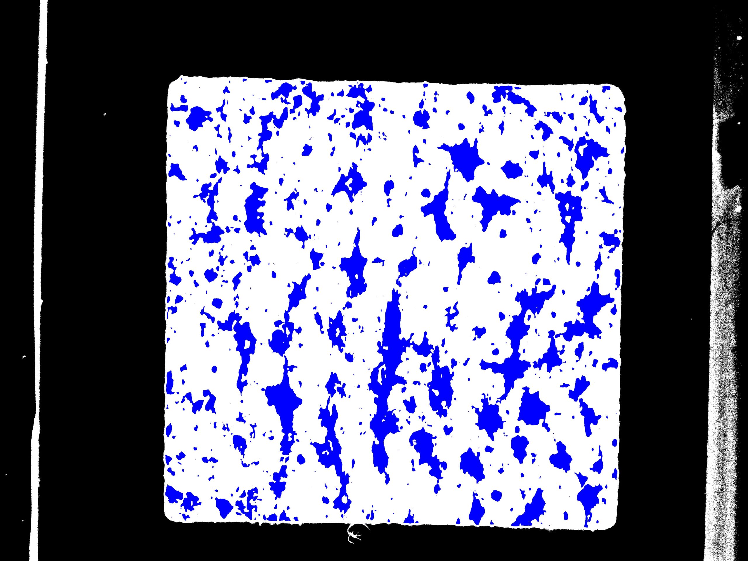 Pixience Cloud - Pixience