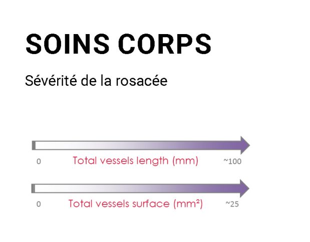 Pixience Cloud - Pixience